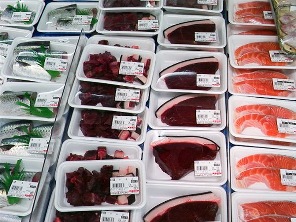Dolphin Meat