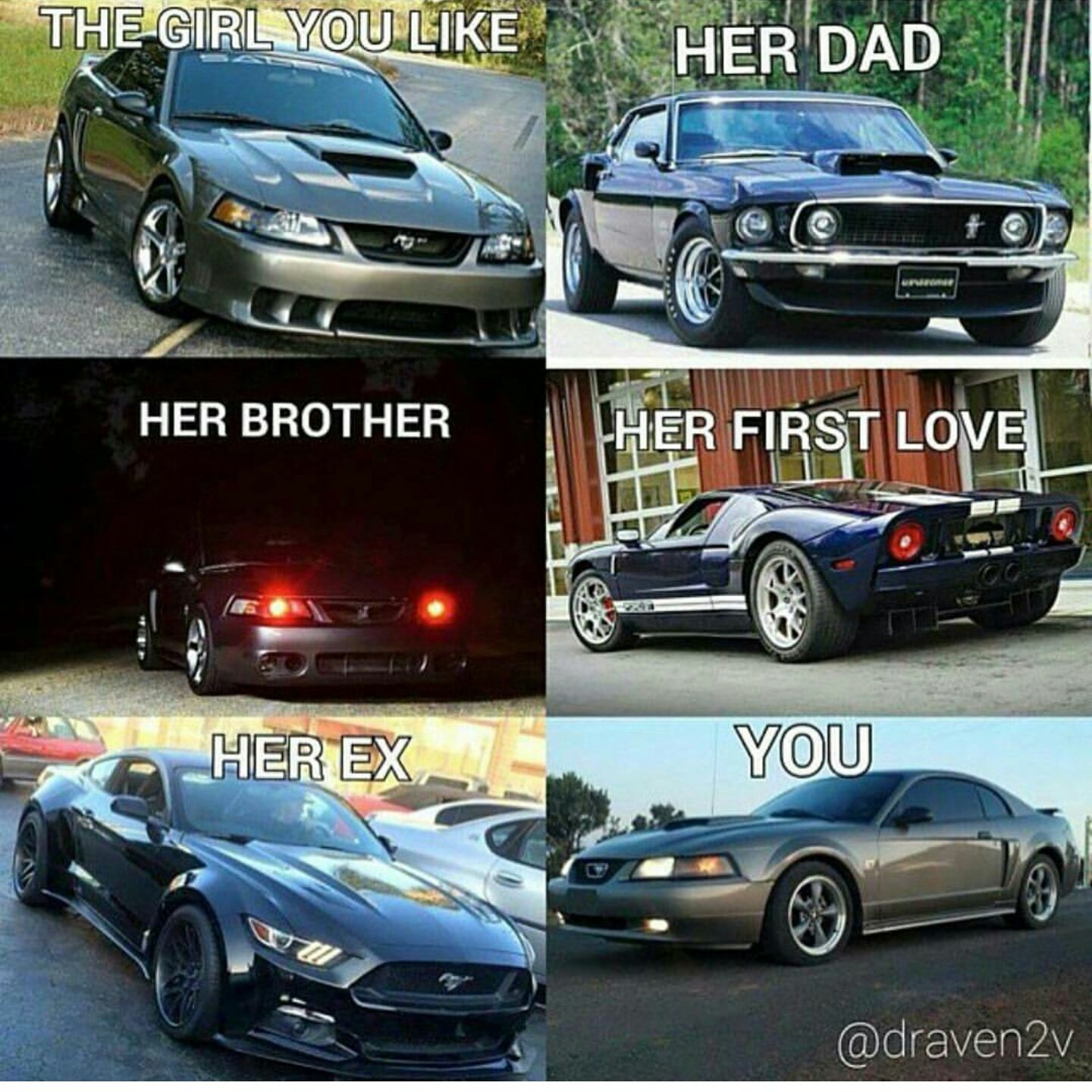 Girls And Mustangs Meme