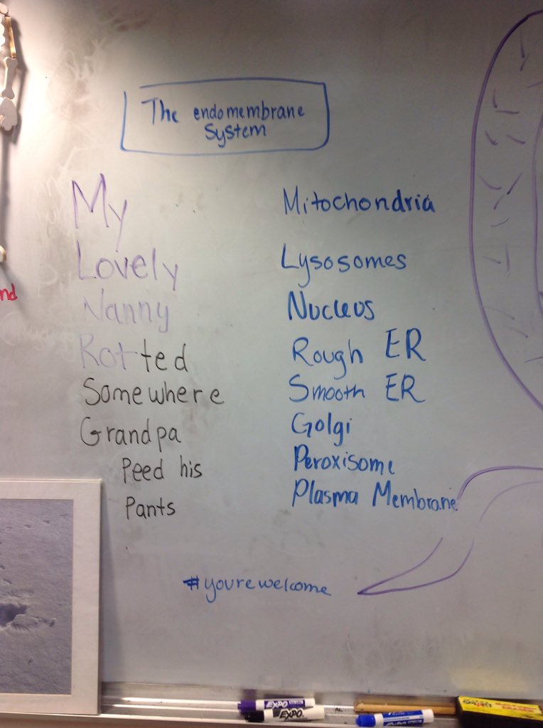 Mnemonic Devices Planets Cell