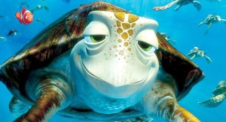 Turtle From Nemo