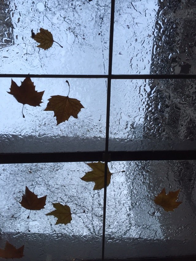 Jace (@jace_lawson) | Twitter