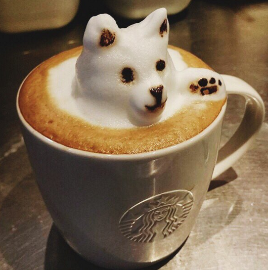 Seen better DOGE coffee ? Me not! Morning guys! : r/dogecoin