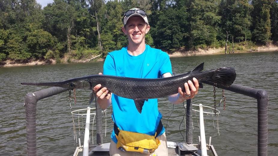 A red gar : r/Aquariums