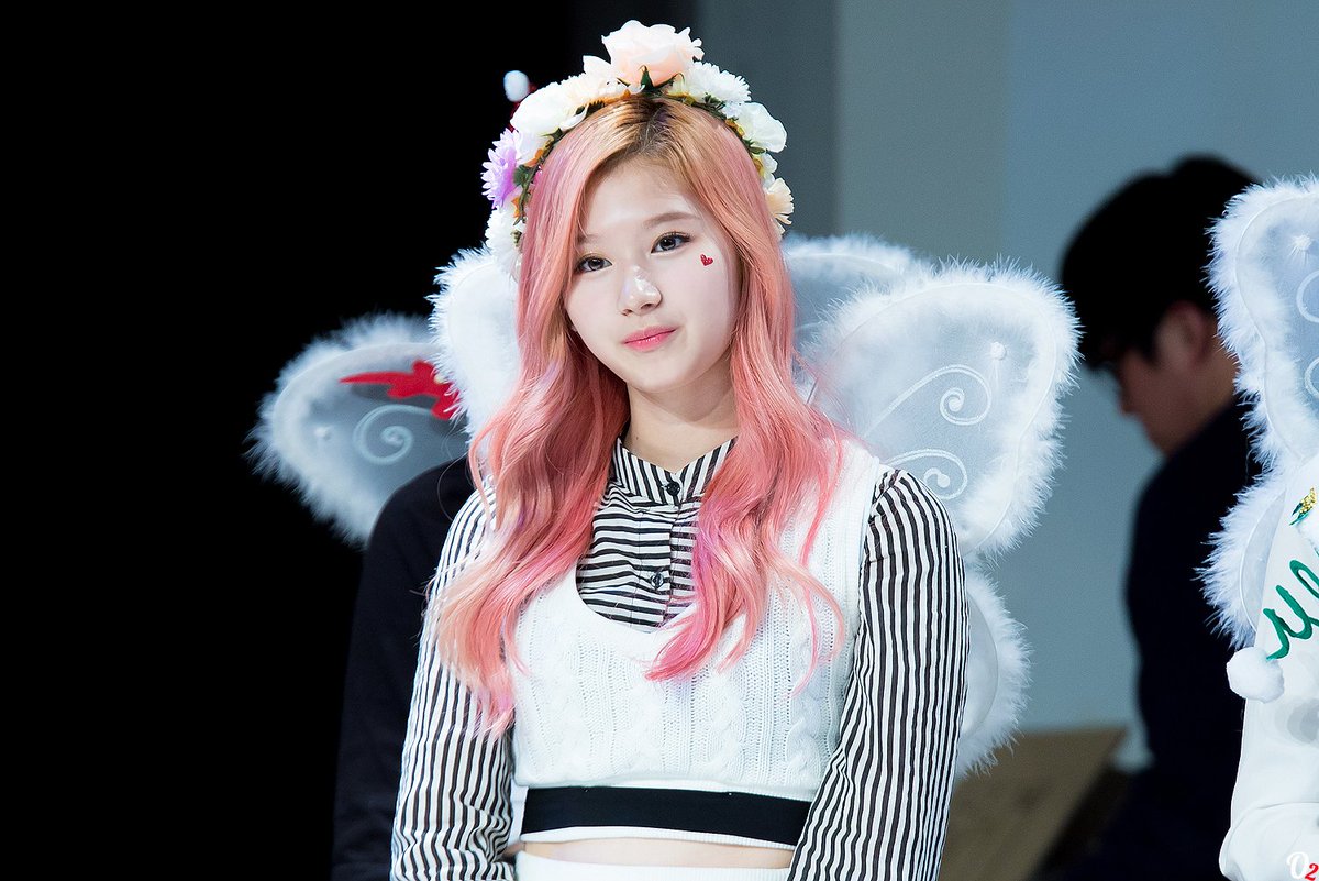 Angel Sana : r/NoSanaNoLife