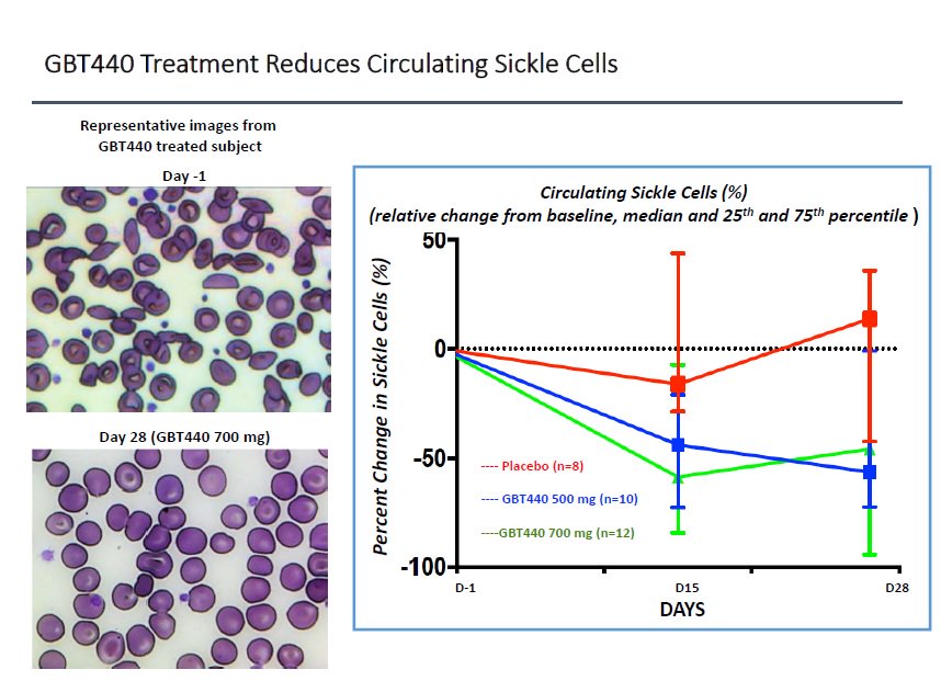 Dr Hemmaway: GBT440 sickle cell efficacy charts $GBT ASH15 $BLUE ...