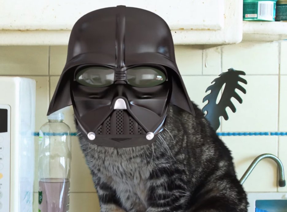 Darth Vader Cat