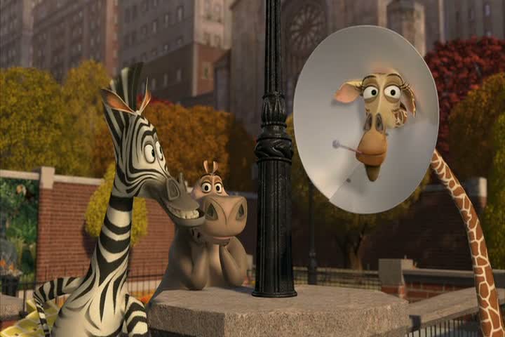 Madagascar Melman Sick