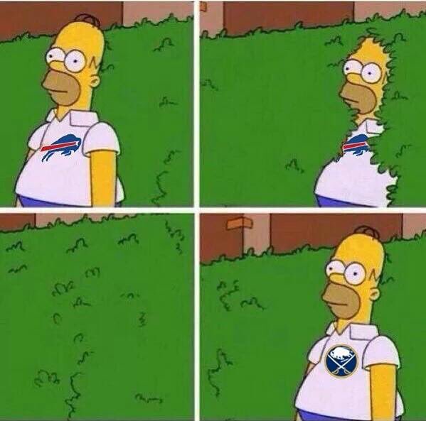 Bills/Sabres Homer Simpson GIF? : r/buffalobills