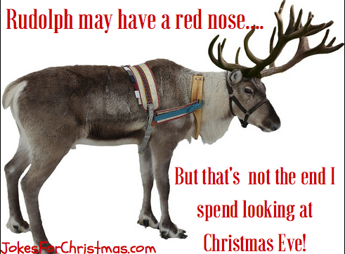 Rudolph Reindeer Jokes