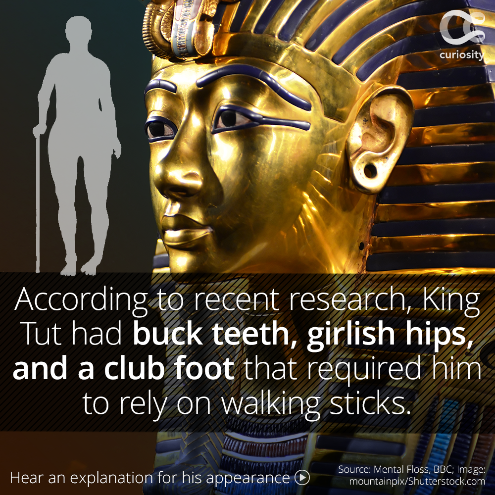 King Tut Famous Quotes 2+ Thousand King Tut Royalty Free Images, Stock
