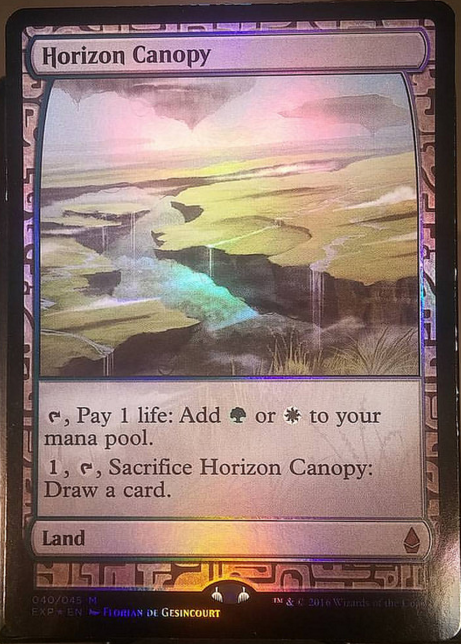 Horizon Canopy