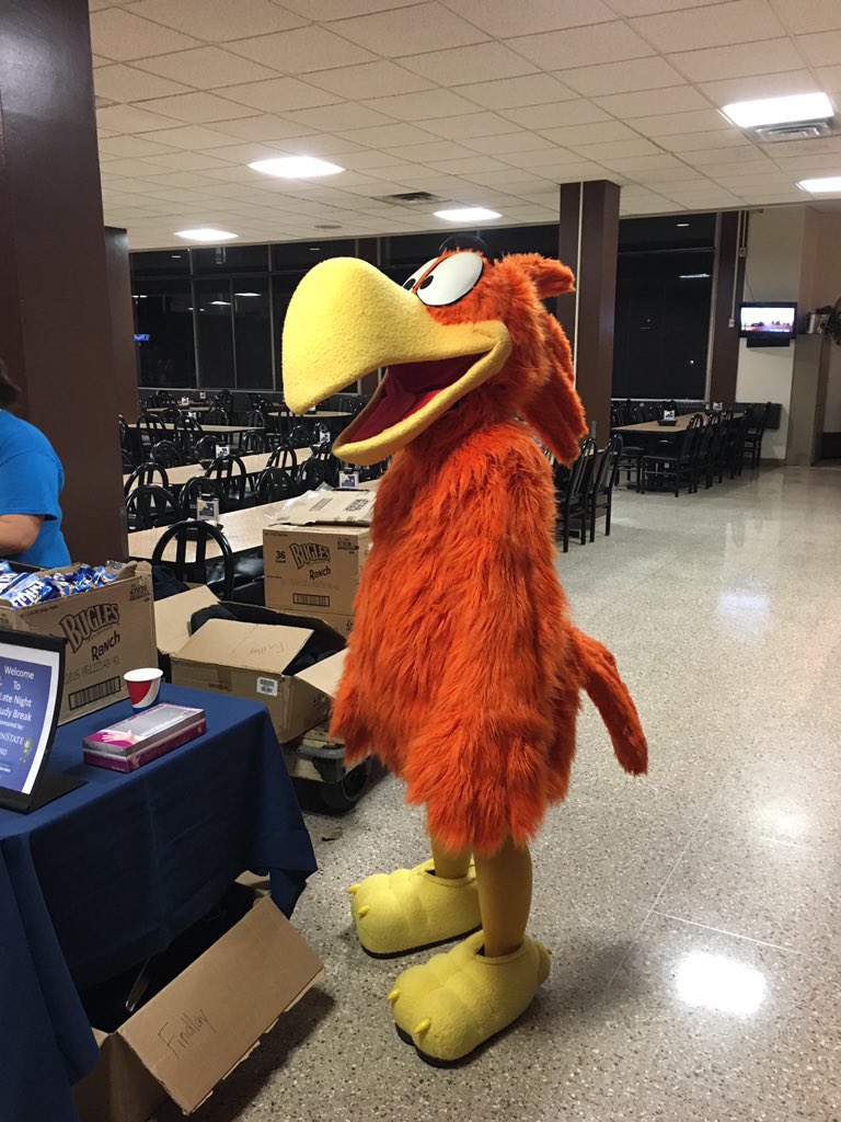 Sonny The Cuckoo Bird