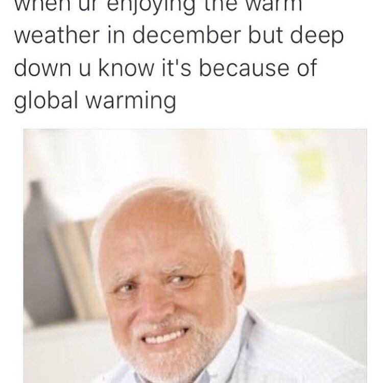 Amber Halverson's Instagram, Twitter & Facebook on IDCrawl