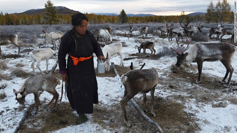 Meet Dukha : Meet Dukha Mongolia reindeer people | CNN International ...