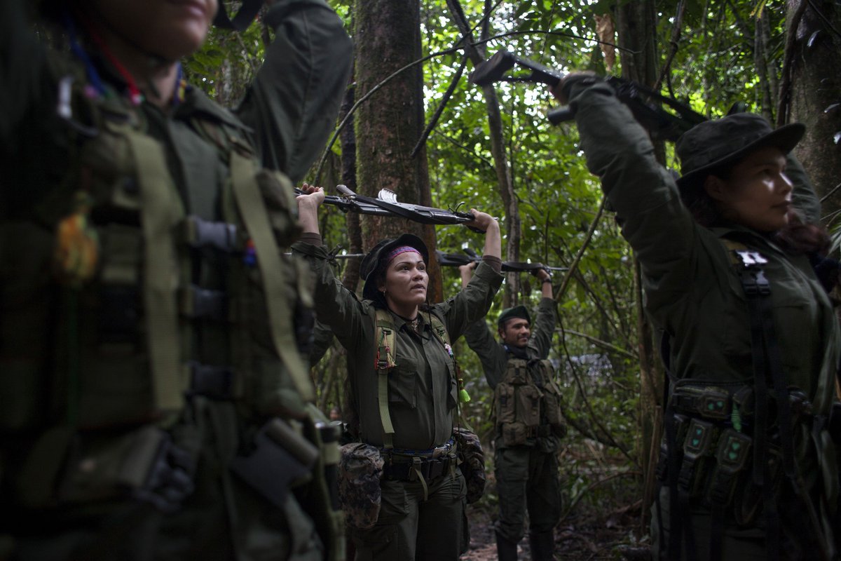 FARC rebels' last days in the Colombian jungle? Rare photos of a FARC ...