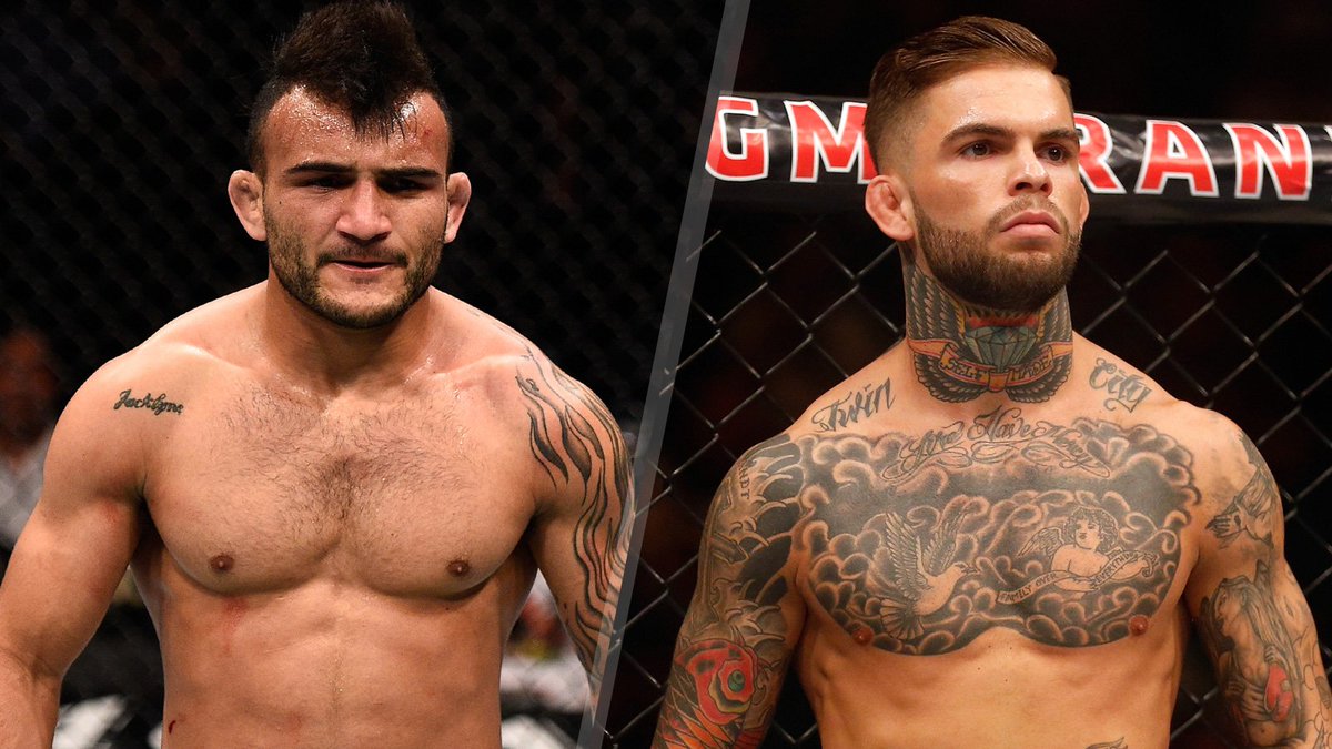 Will we see "Hands of Stone" John Lineker vs Iron Chin Cody Garbrandt ...