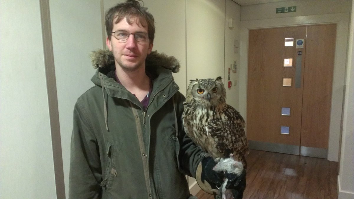 Rat’ll do nicely: man lures pet owl from rooftop with dead rodent tied ...