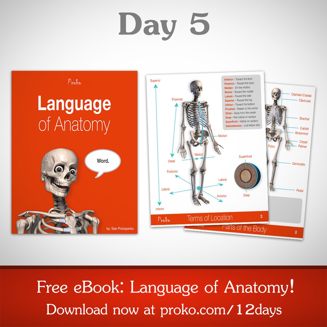 The Language Of Anatomy