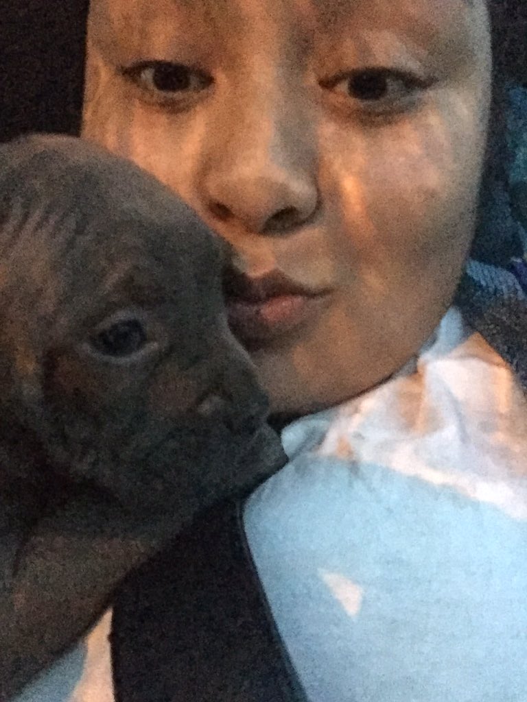 Nikki Apodaca's Instagram, Twitter & Facebook on IDCrawl