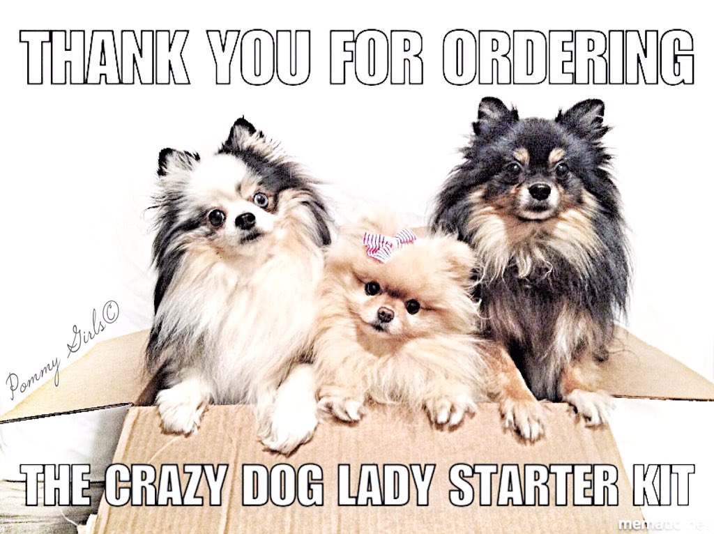 Crazy Dog Lady Starter Kit