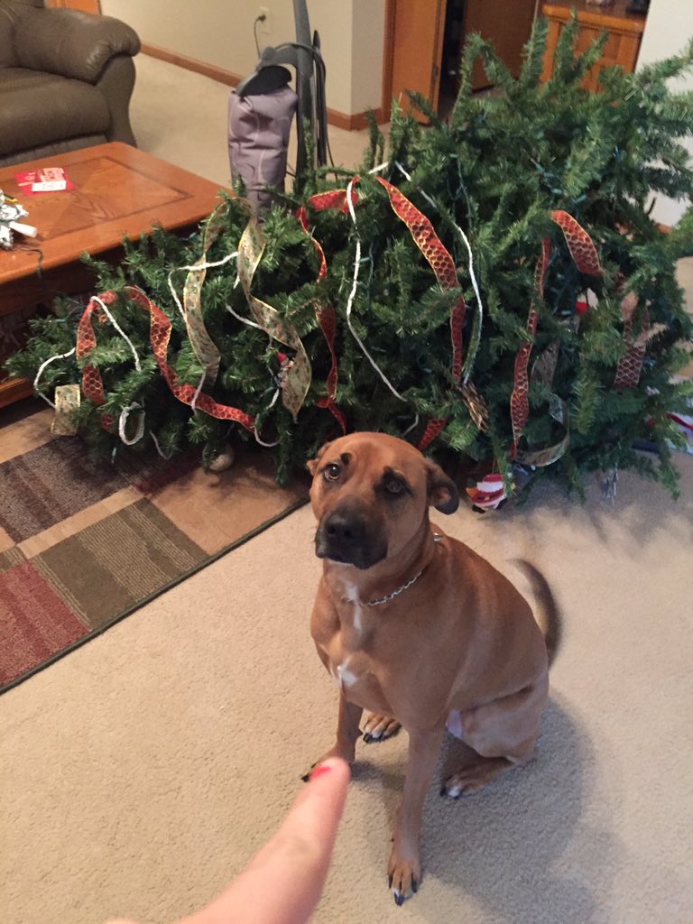 Dog Destroys Christmas Tree