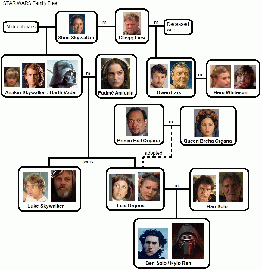Star Wars Jedi Family Tree