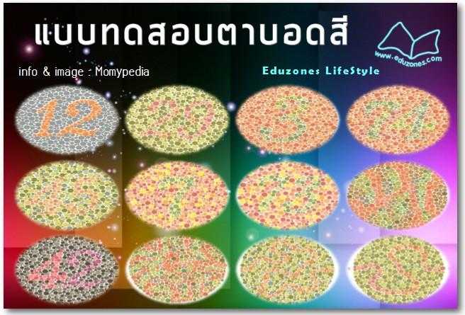 eduzones on Twitter: "แบบทดสอบตาบอดสี ทดสอบเองได้ง่ายๆ https://t.co/AAq93s4Dks https://t.co ...