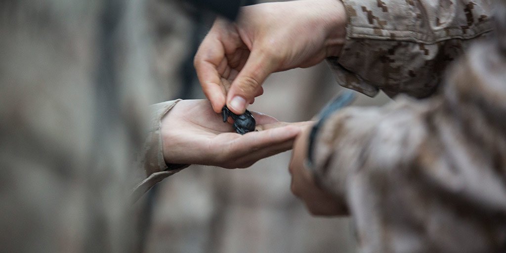 Mark Burrill (@markburrill) | Twitter