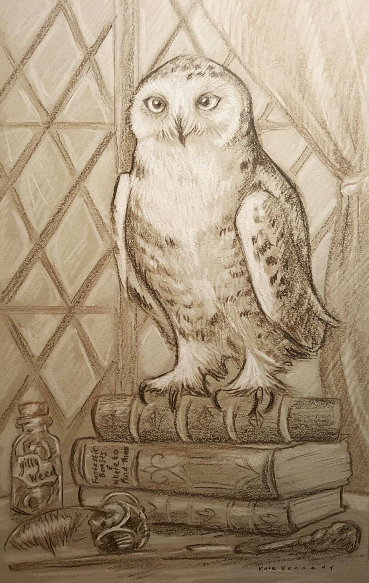 Harry Potter Hedwig Drawing