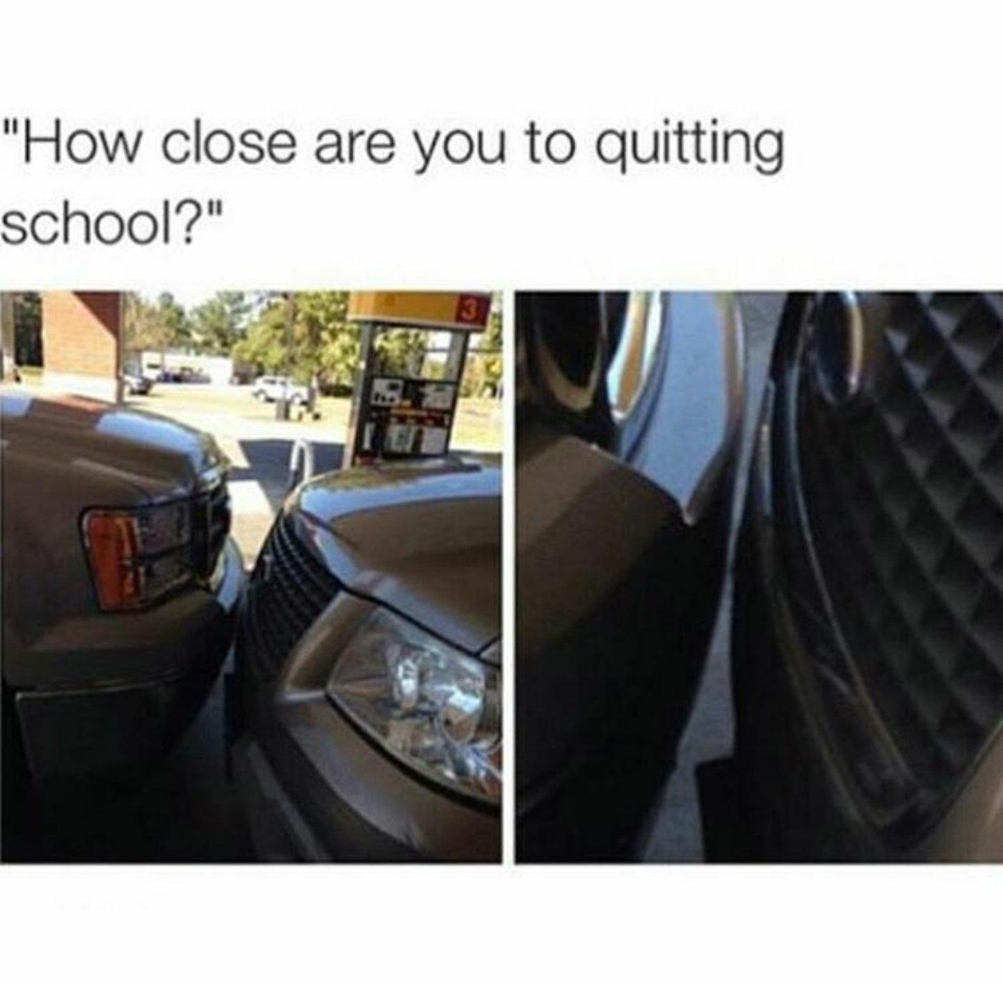 High School Drop Out Meme School Dropout GIFs | Tenor