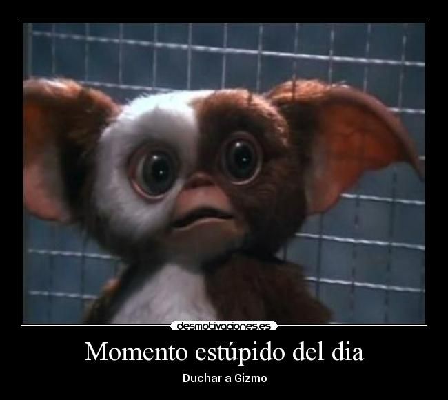 Gizmo Meme