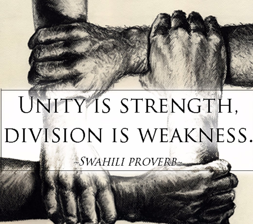 Unity Is Strength Quote