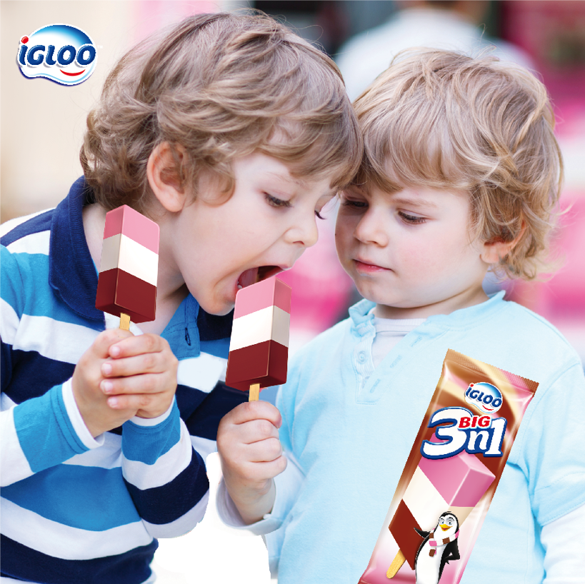 Igloo Ice Cream