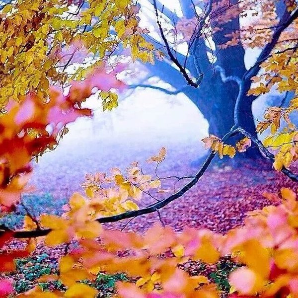 Beautiful Fall Weather