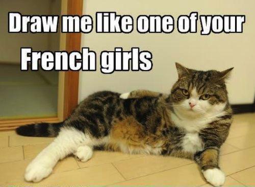 Draw Me Like One Of Your French Girls Cat