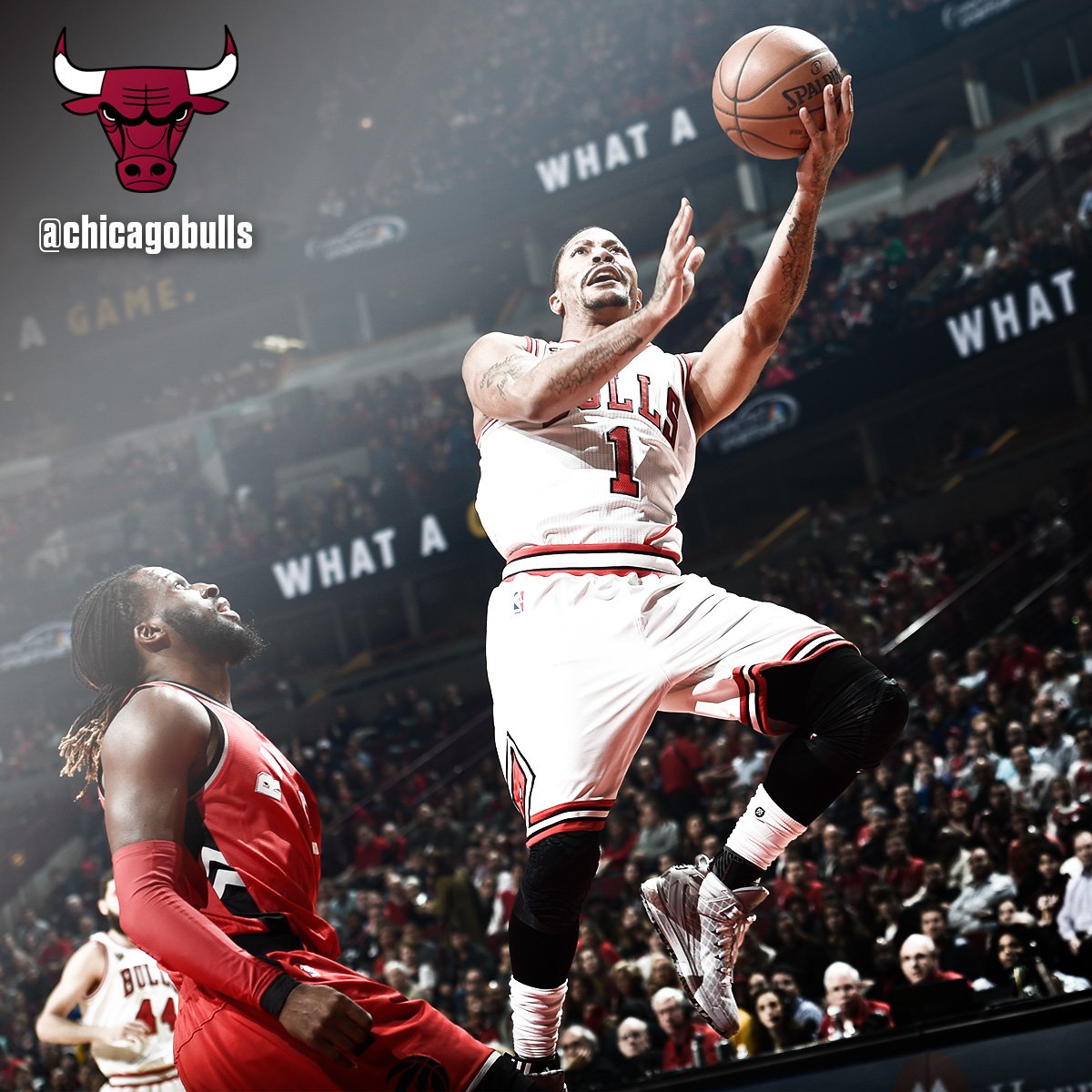 Chicago Bulls Derrick Rose Wallpaper Dunk