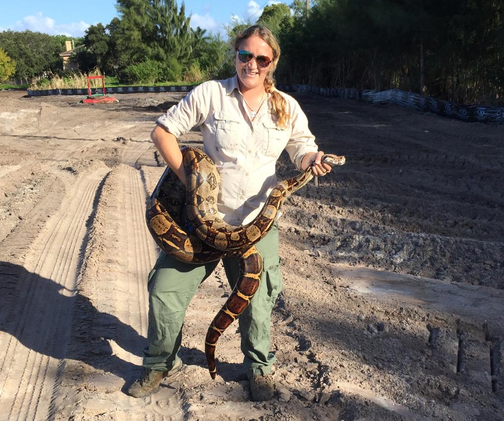 Check out the bradenton park ranger getting the red tail boa monday ...