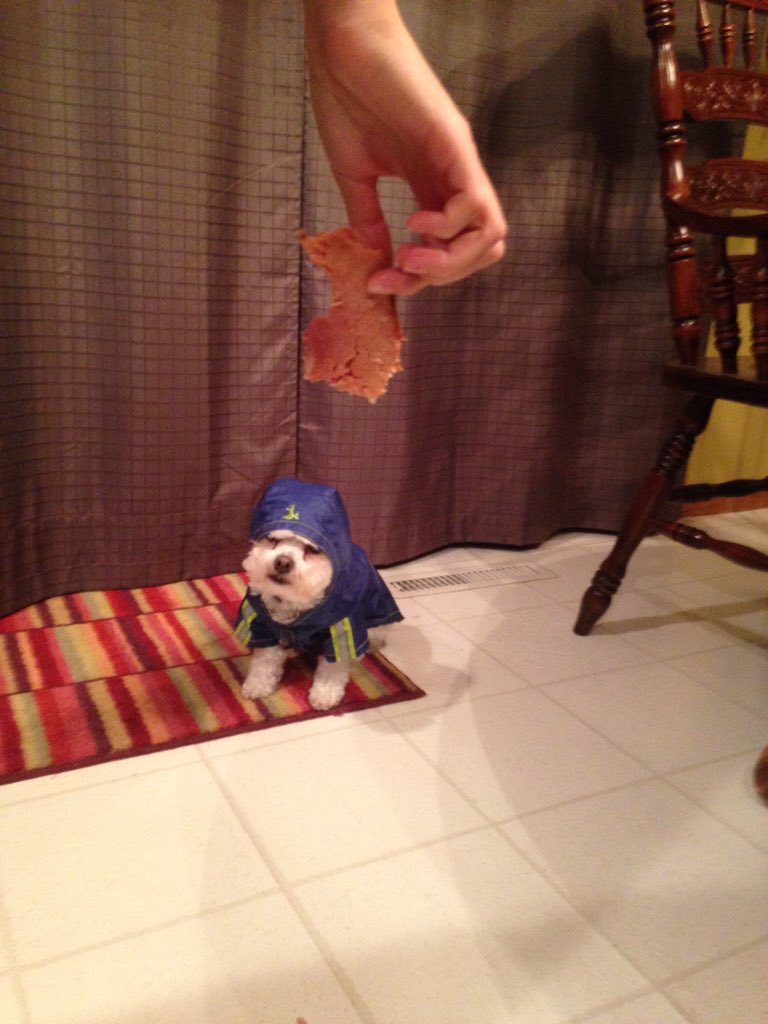 Patsy (@Patsy_VanCamp) | Twitter