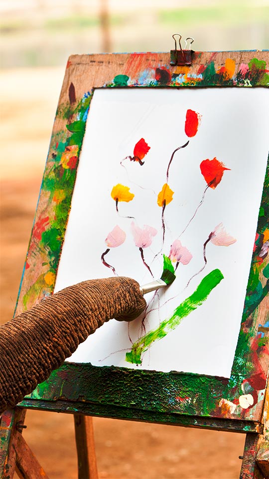 McAlpine PLLC (@McAlpinePLLC) | Twitter