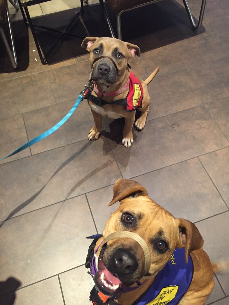 Project 22 (@project22_) | Twitter