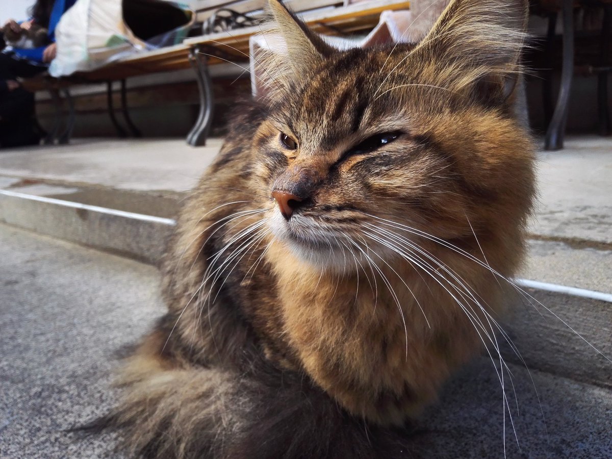 さとみん(@satomidesign) - Twilog (ツイログ)