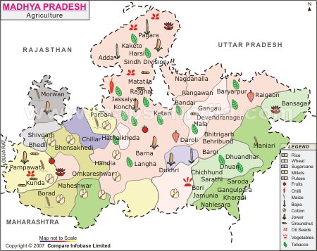 Madhya Pradesh increases agricultural production by 15% in 2015 ...