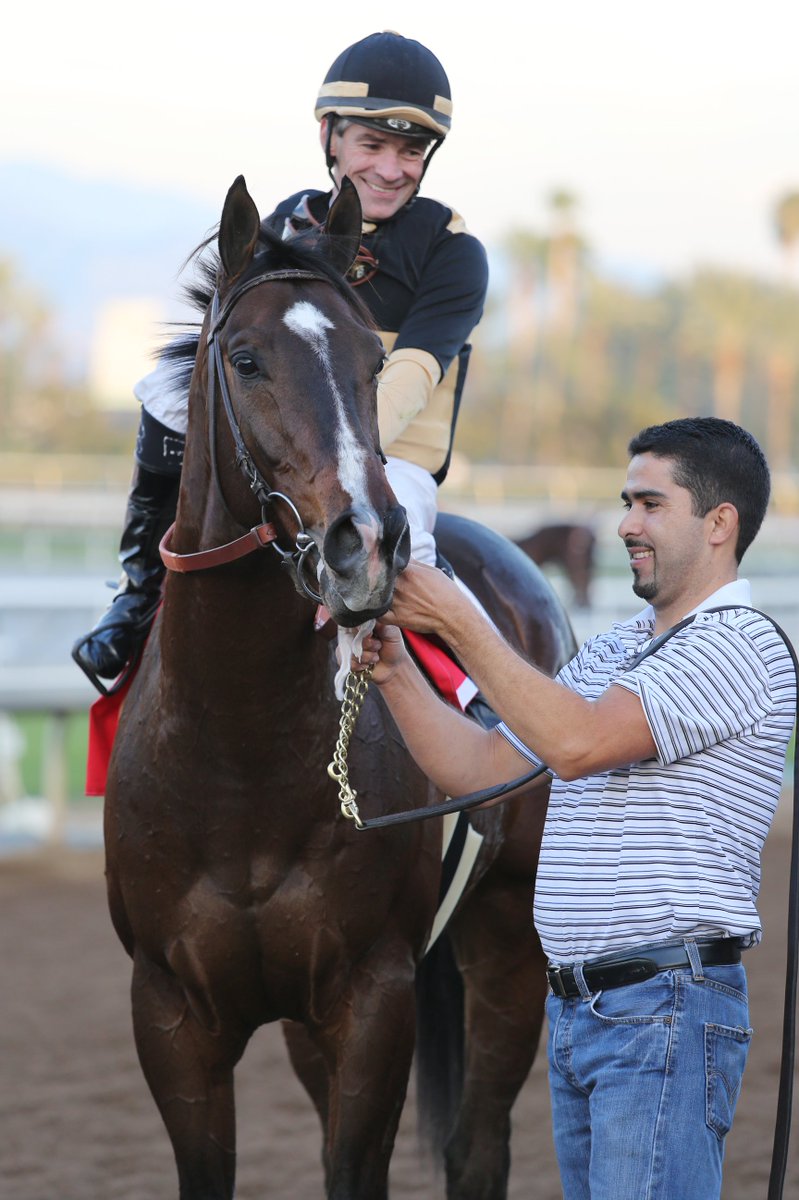 XBTV (@WatchXBTV) | Twitter