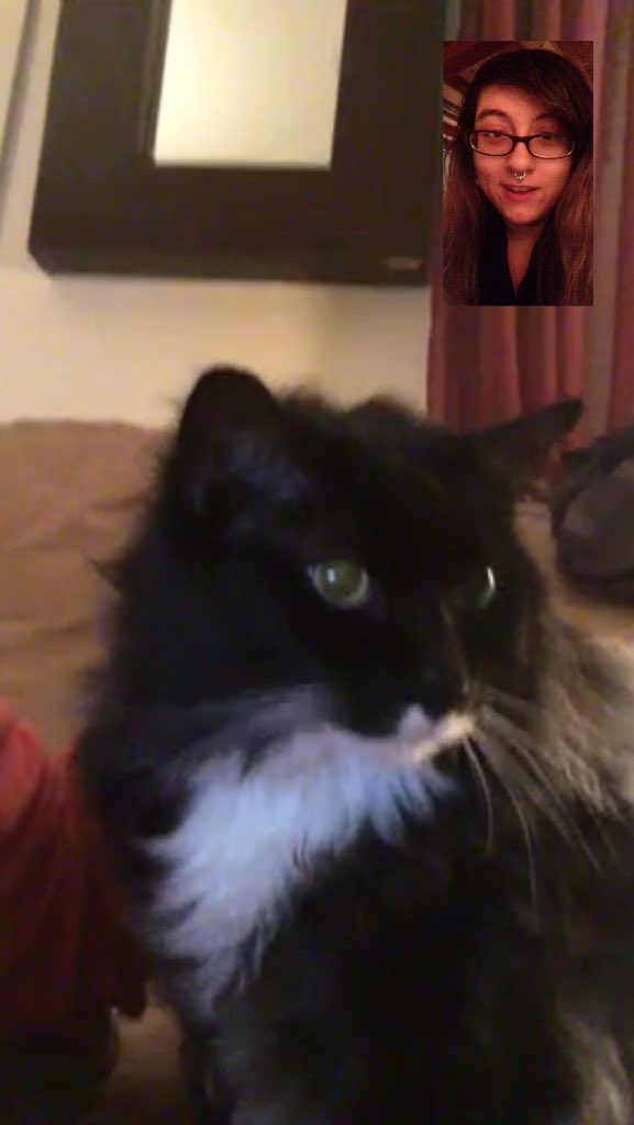 TW Pornstars - Elizabeth Smith. Twitter. Also. Look at @MissTartx 's ...