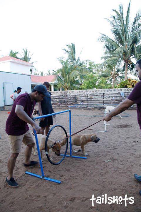 Suresh Chandra (@SureshChandraa) | Twitter