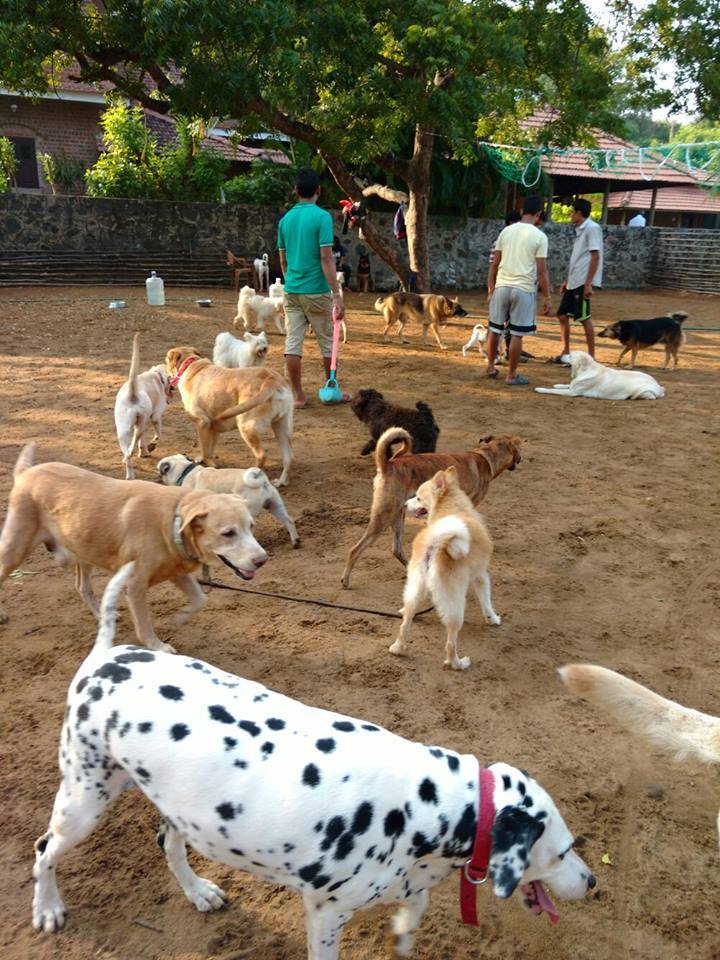 Suresh Chandra (@SureshChandraa) | Twitter