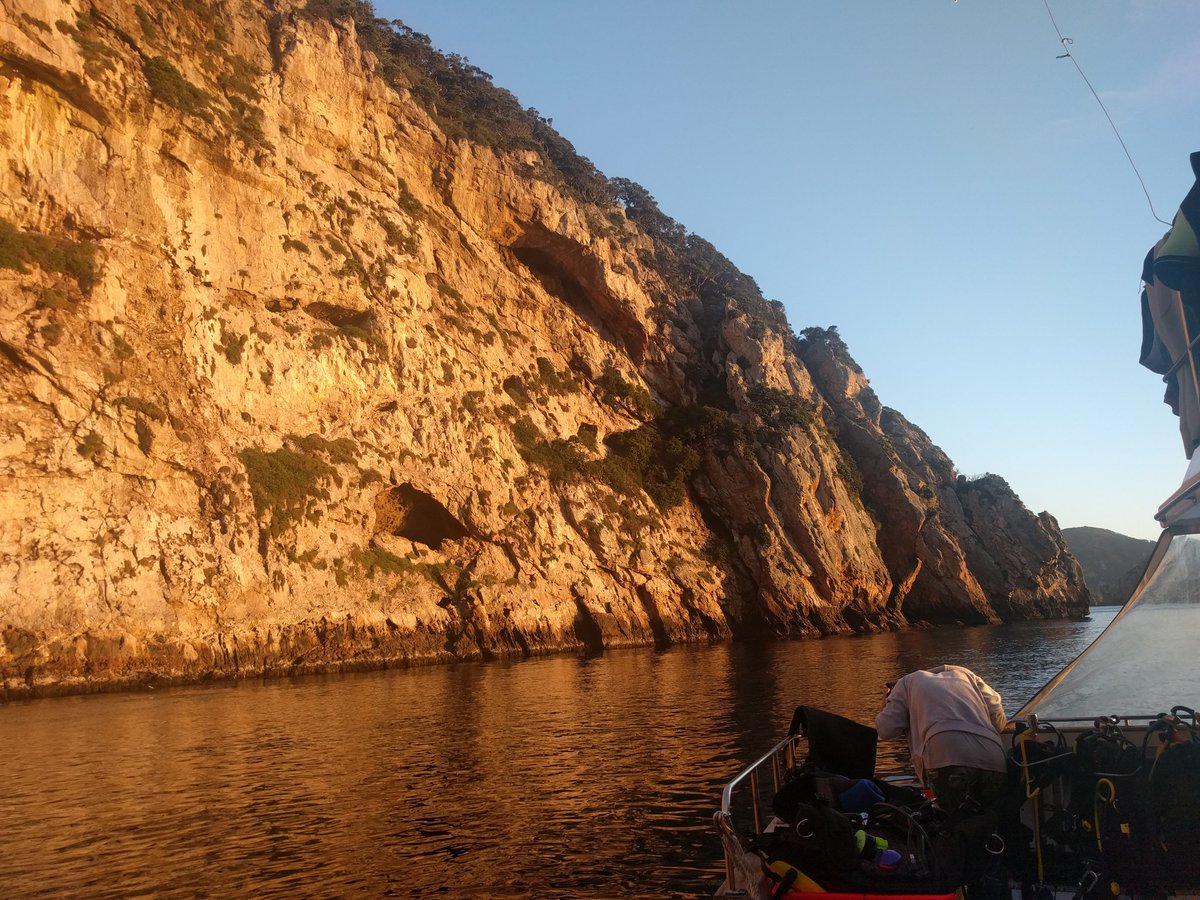 Simar Kalra (@__simar__) | Twitter