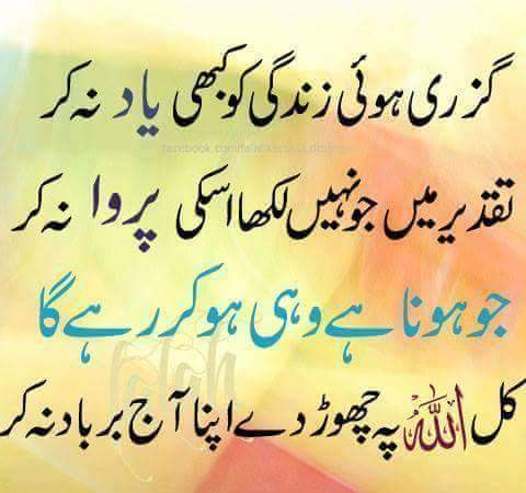 Malik Toheed Awan (@MTA_MalikToheed) | Twitter