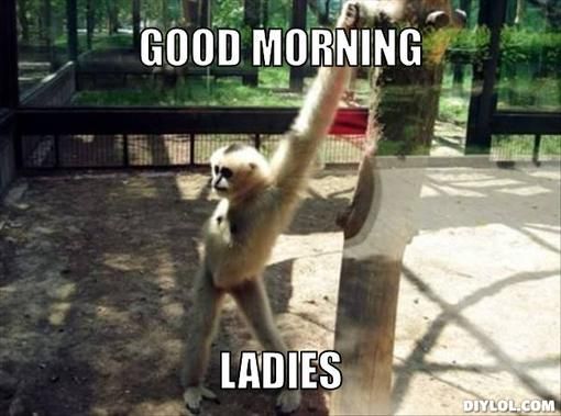 Good Morning Everybody Meme