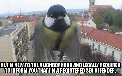 Neighborhood Meme There Goes The Neighborhood …… , #nosyneighbors